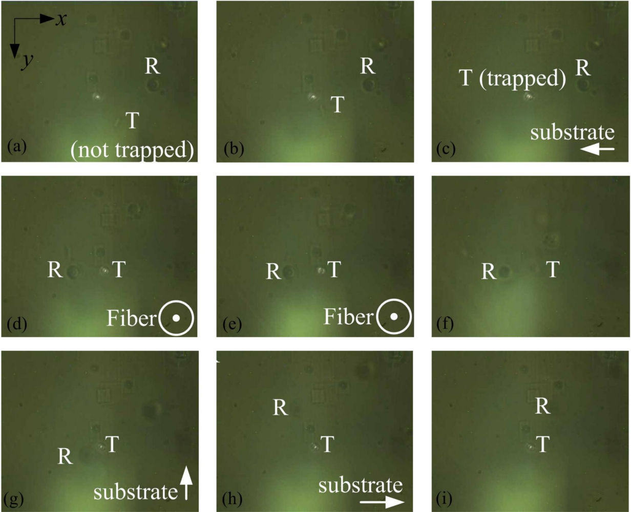 Fiber Optical Tweezers | Optomechanics Lab